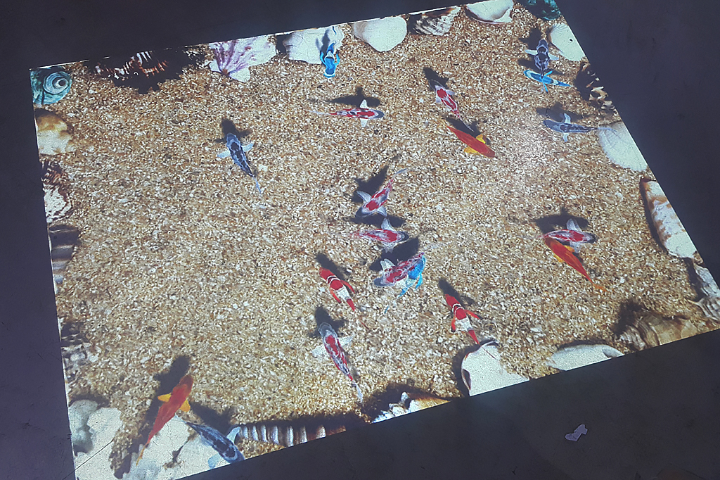 'VR STAR PAJU' INTERACTIVE MEDIA CONTENTS | RAY Lab